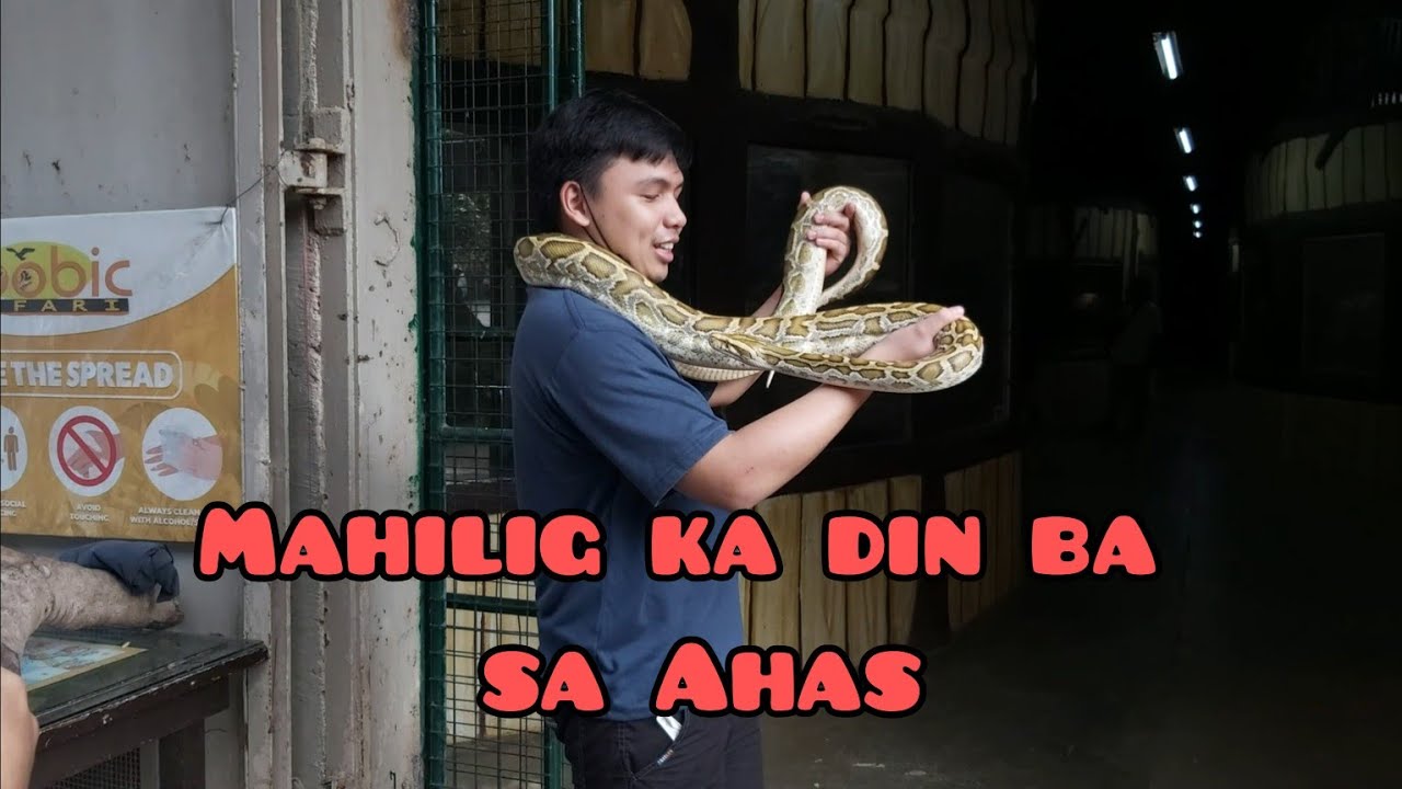 SERPENTARIUM sa Zoobic Safari - YouTube