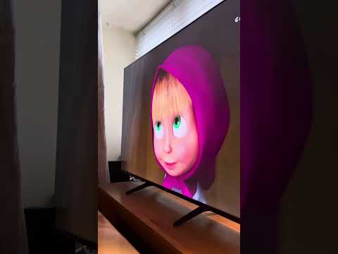 Barney the Tv border collie watching his favourite cartoon - YouTube