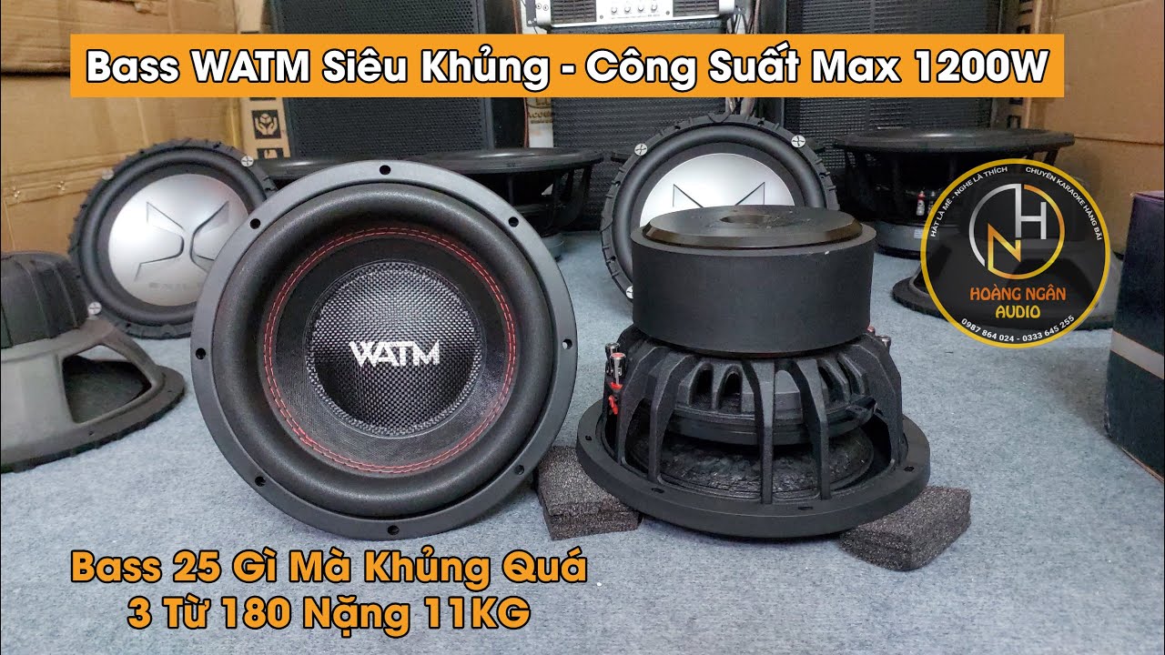 Bass Sub 25 Cấu Hình Siêu Khủng. 3 Nam Châm 180 Coil 75 Nặng 11Kg Công ...