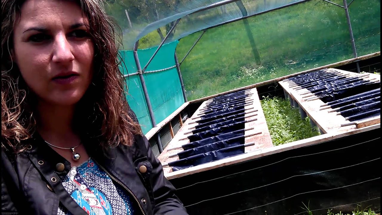 Escargot Farm - YouTube