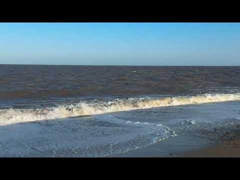 The Ocean’s Raw Power 🌊 | Relaxing Waves & Wild Nature.  #shortvideo #shorts #viral  #edit  #fyp 