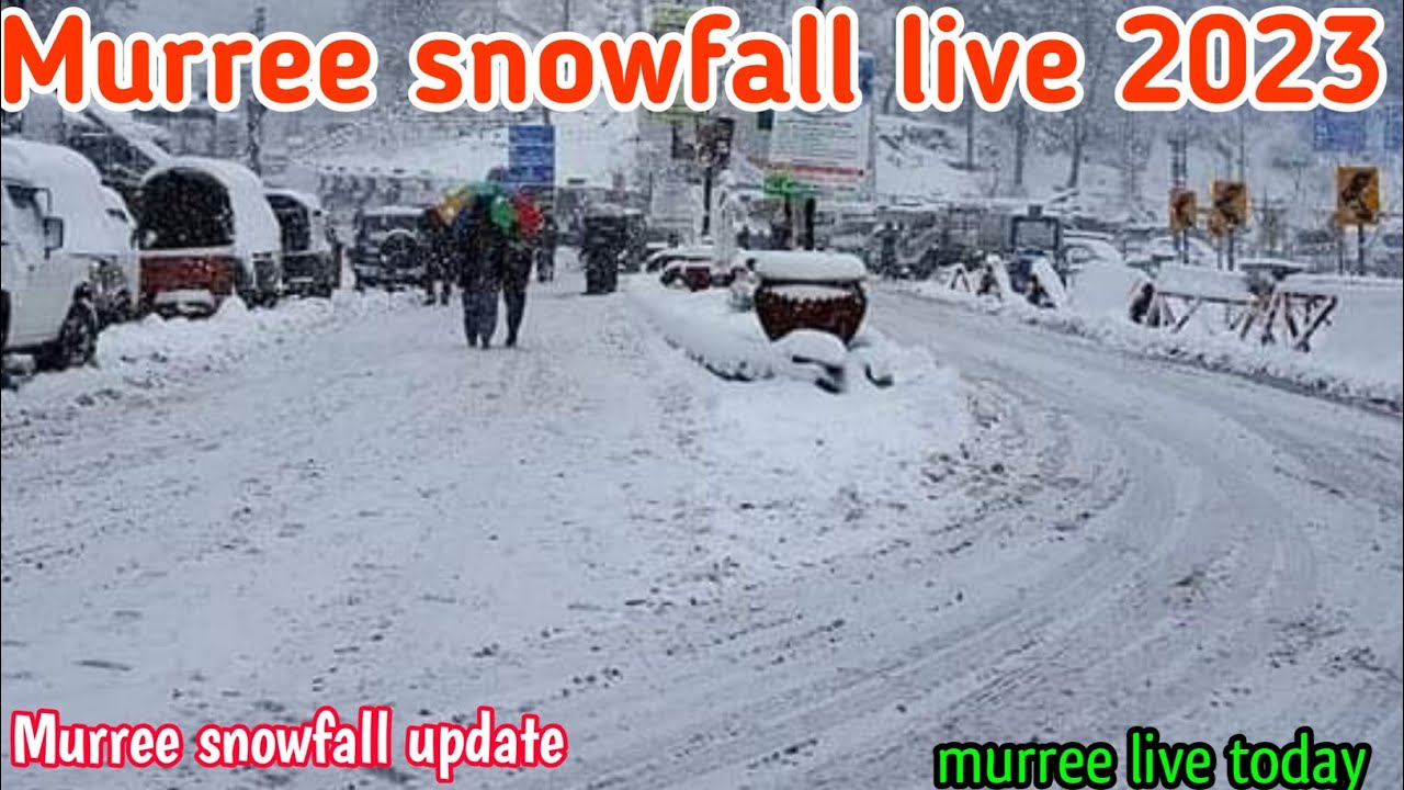murree live Snowfall 2023 | murree live today | murree weather today ...