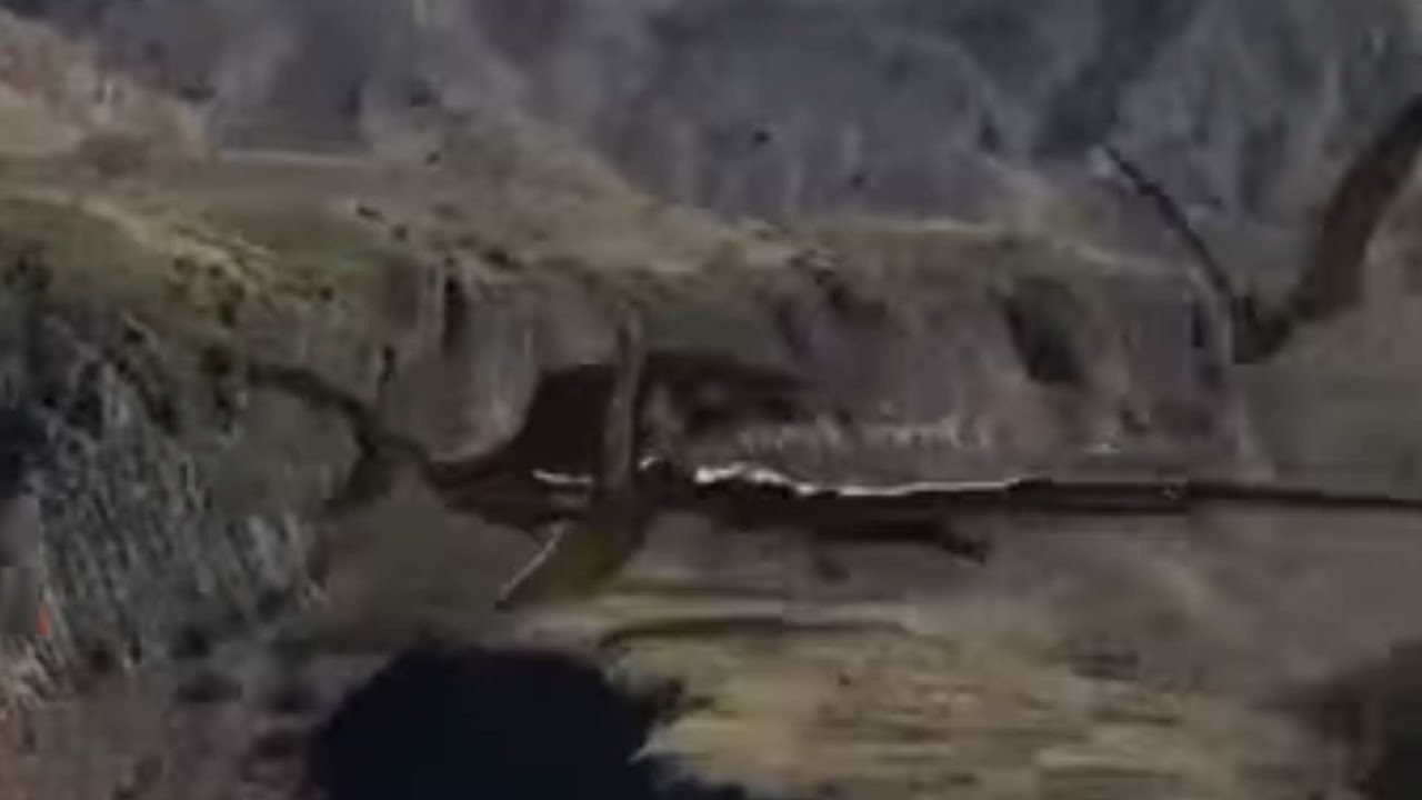 3 Flying dinosaurs Pterodactyl Sighting Caught on camera - YouTube