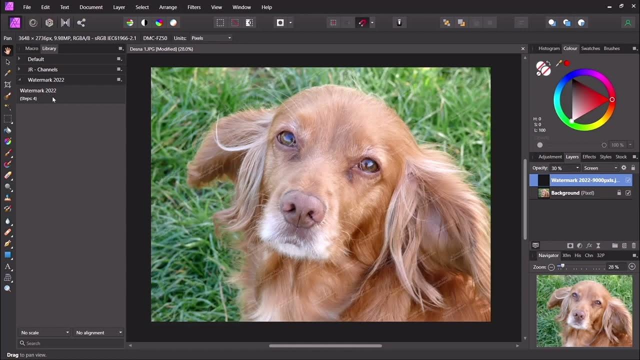 Watermark in Affinity Part 2 Macro and batch processing - YouTube