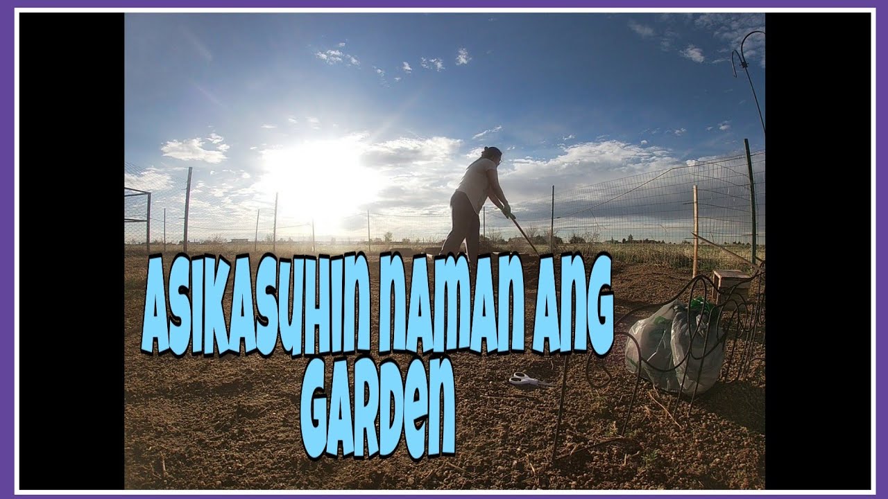 ASIKASUHIN ANG GARDEN|ANO ANG ARAW ARAW KONG PROBLEMA?(BUHAY AMERIKA ...