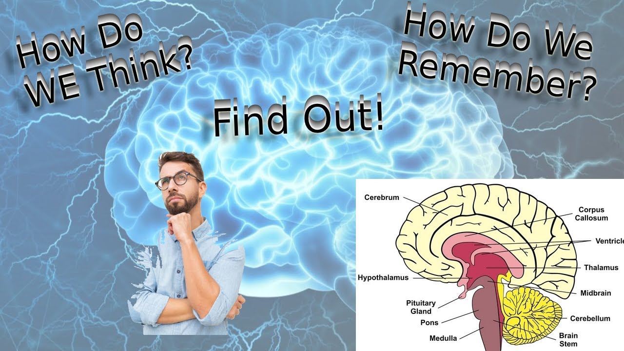 The Science of the Human Mind: How We Think, Feel, and Learn - YouTube