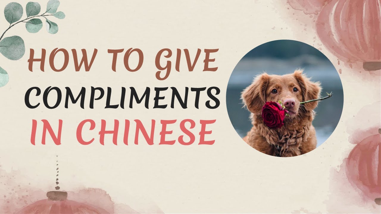 Valentine's Day Special Phrases: Learn How to Compliment Others in ...