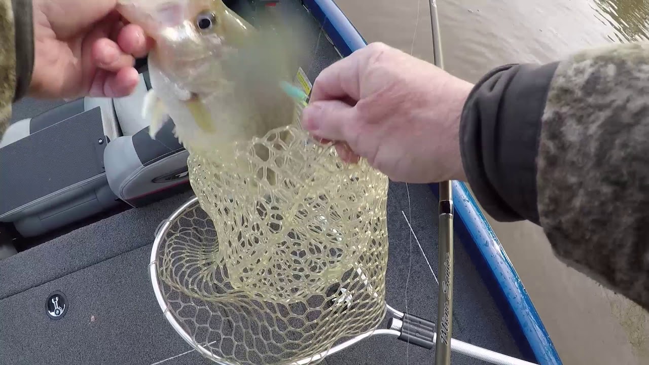 Crappie Screamer Jig With LiveScope - YouTube