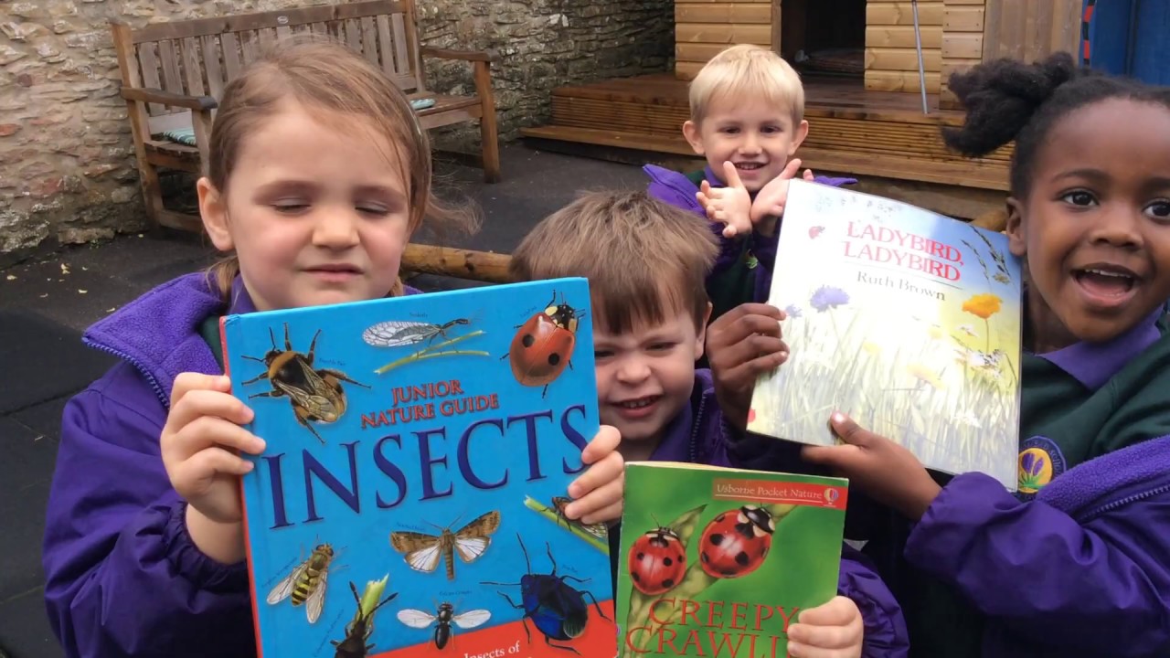 Ladybird Day - YouTube