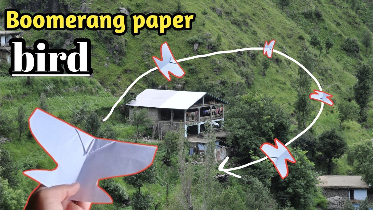 How to Make a Flying Eagle Plane with Paper: A Comprehensive Guide ...