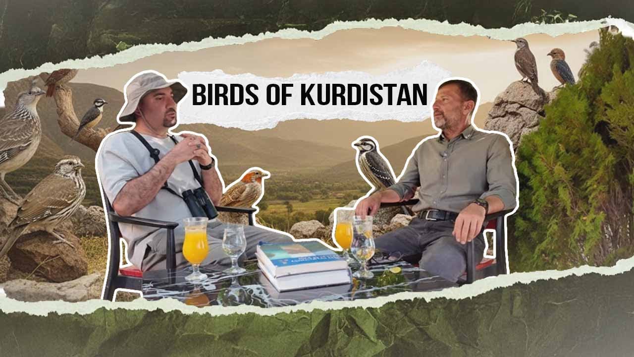#12 Birds of Kurdistan: Everything you wanted to know - YouTube