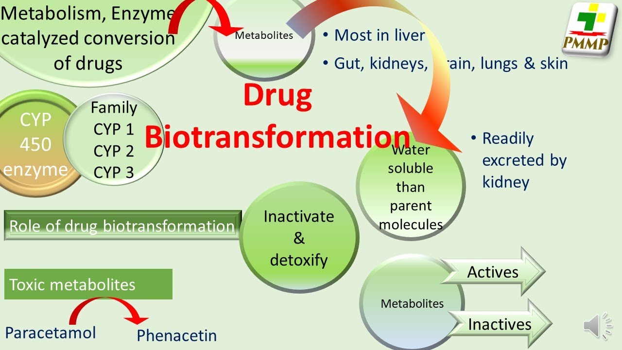 Drug biotransformation, General Pharmacology, S-2.7 - YouTube