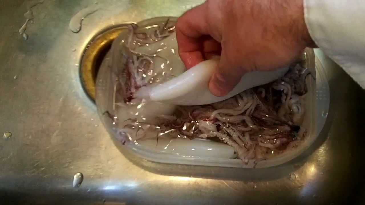 50 - RABAS Y TENTACULOS FRITOS (Calamares). - YouTube