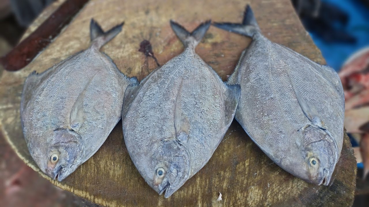 fish cutting selvam vawval fish cutting - YouTube