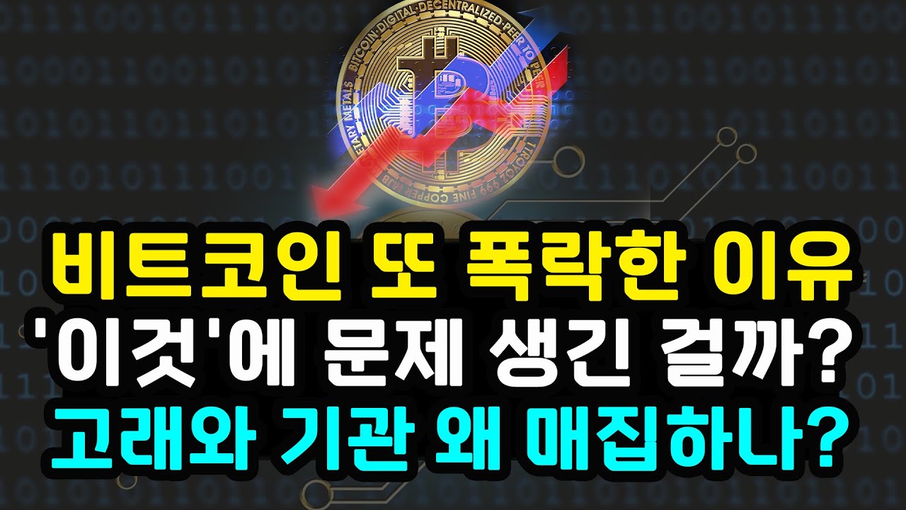 비트코인 또 폭락한 이유 무엇일까 장기보유자 기관 매집은 계속 늘어나는 중 장기 추세 문제 없다 톤 이더리움 리플 솔라나