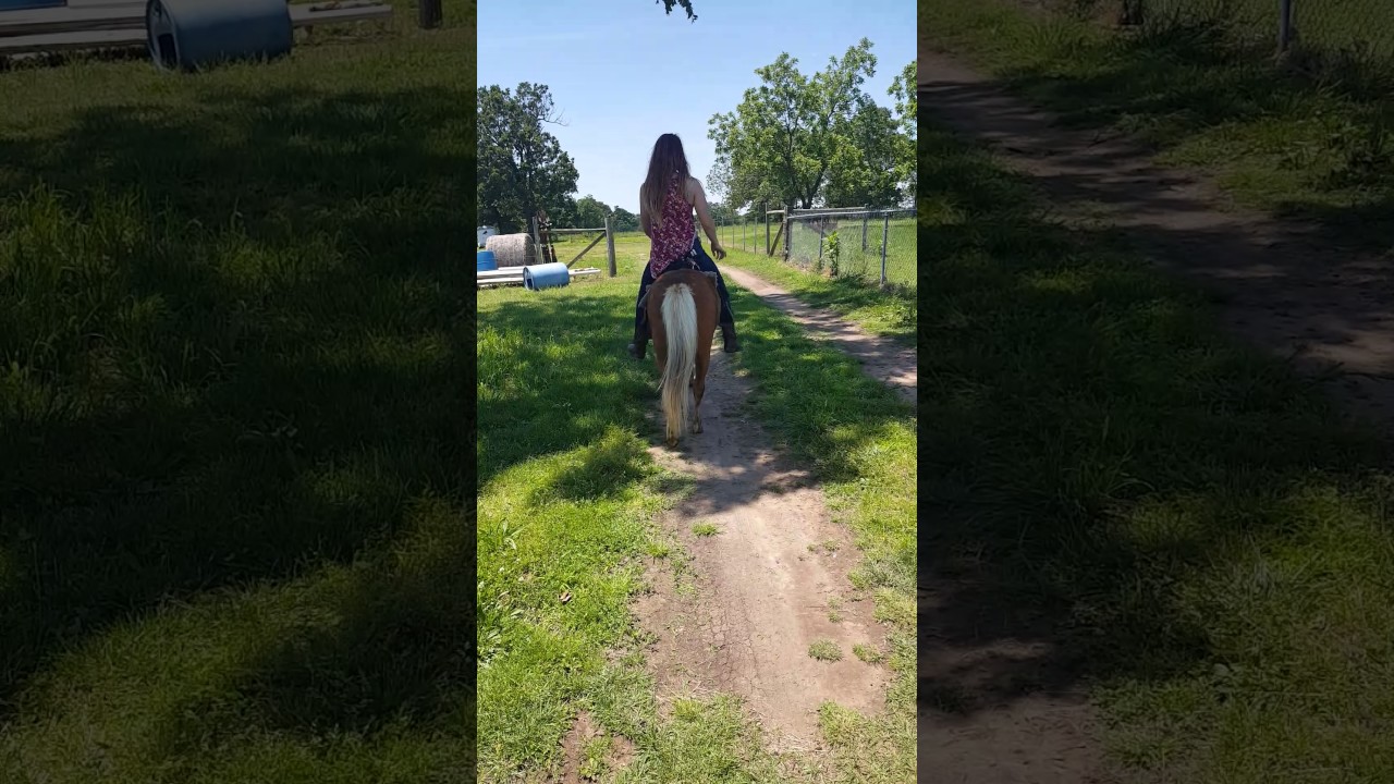 Riding new pony - YouTube
