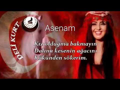 Bozkurt cada baktim sana (asena)