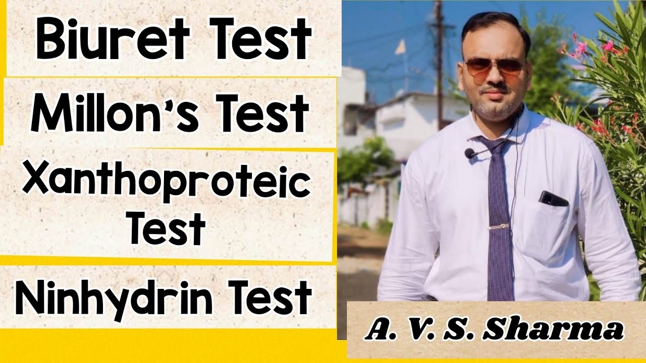 Test For Proteins //Biuret Test // Millon's Test //Xanthoproteic Test ...