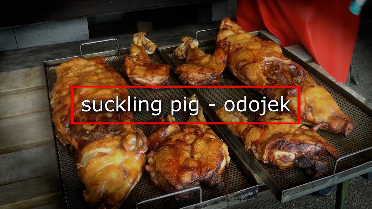 Suckling Pig - Odojek - YouTube