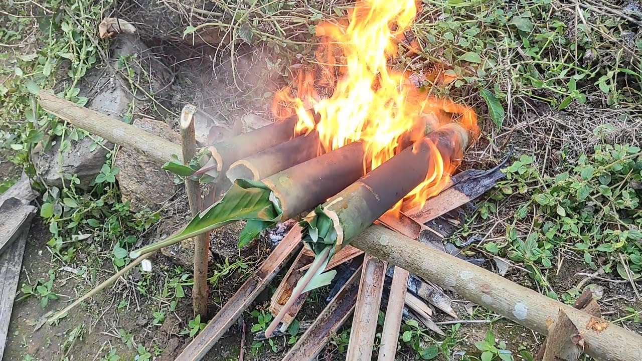 quickly learn how to cook rice in bamboo deliciously # ARUNACHAL ...