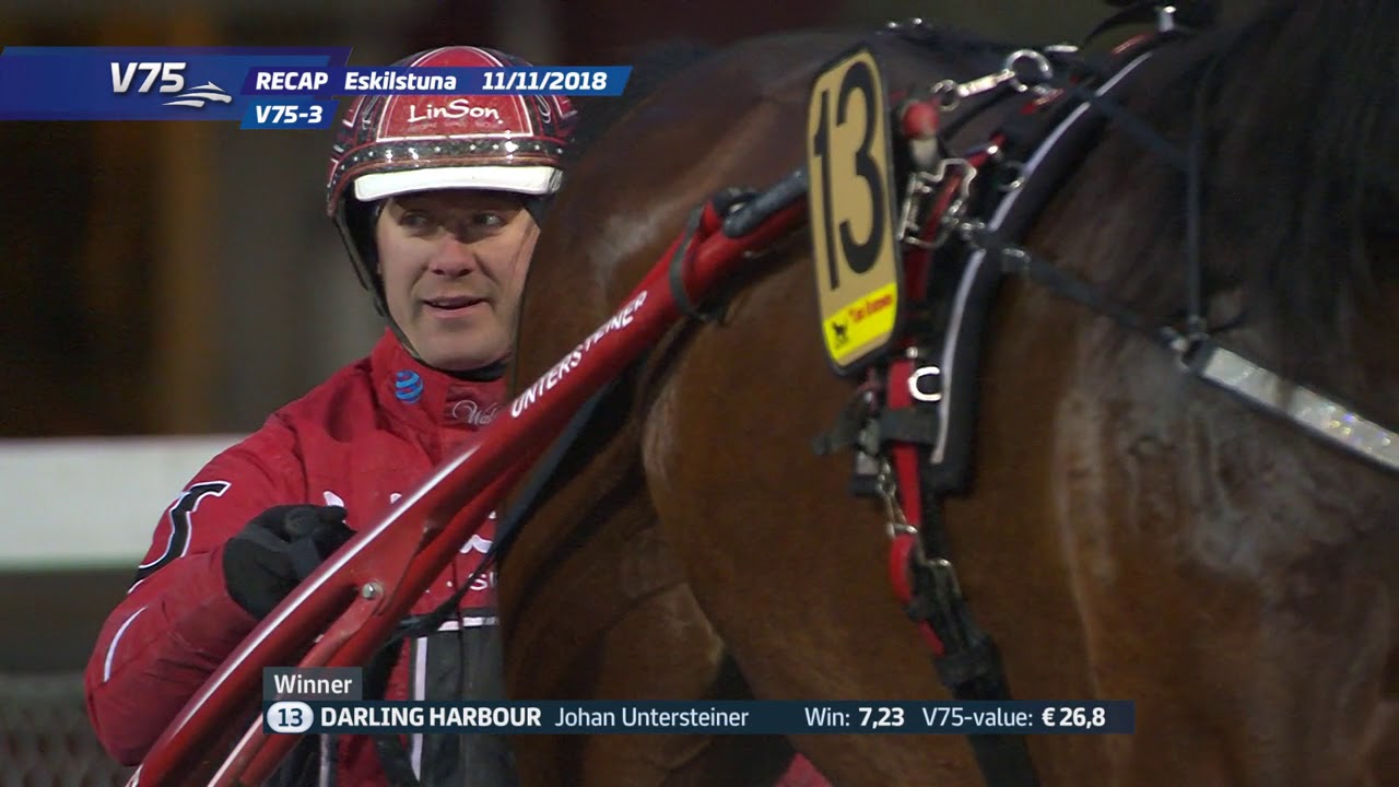 V75 RECAP SHOW November 11 2018 - YouTube