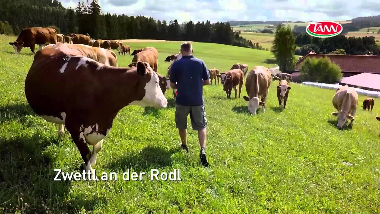 Naheliegendes bei SPAR - TANN 100% österreichisches Rindfleisch - YouTube