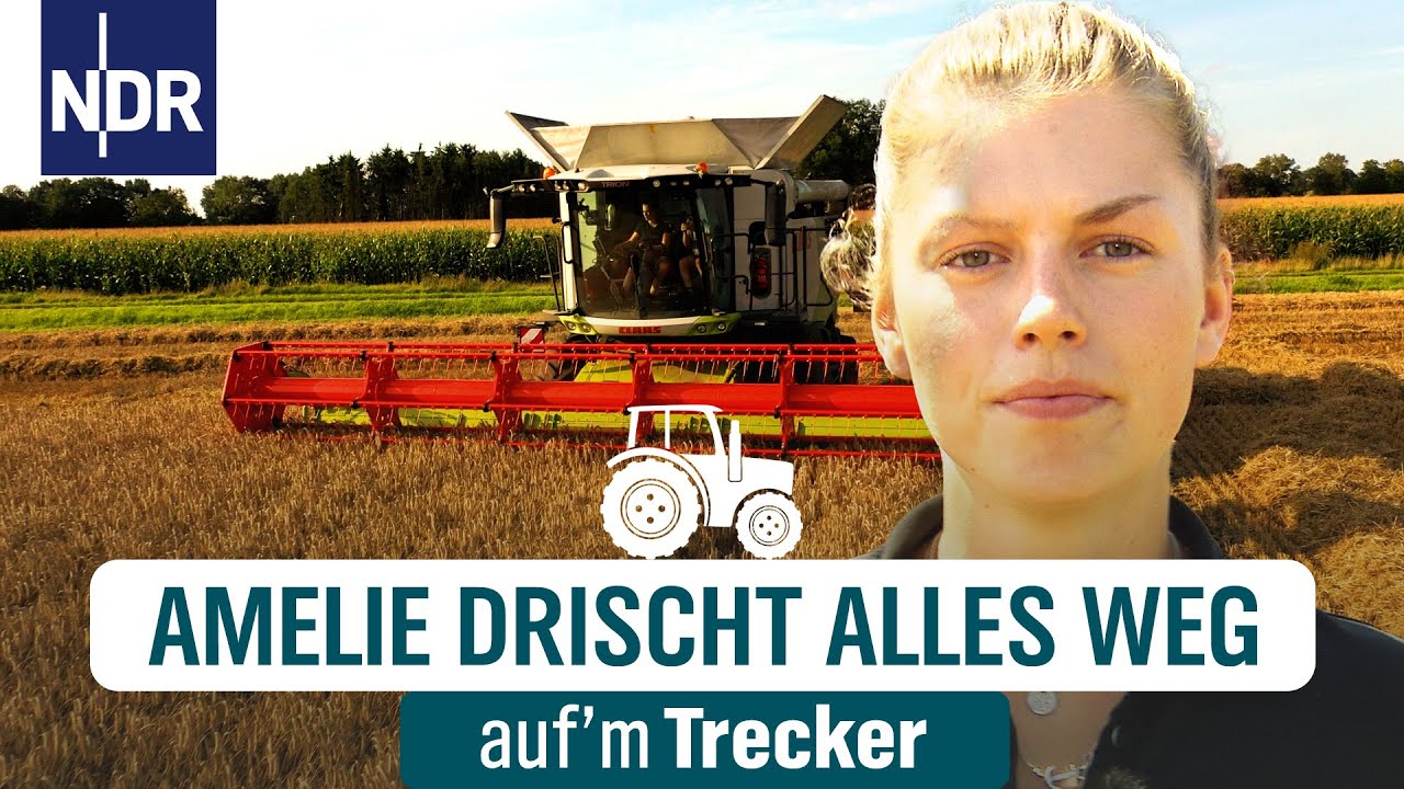 Kurze Ernte, lange Tage: Amelie im Arbeits-Modus | Auf'm Trecker Folge ...