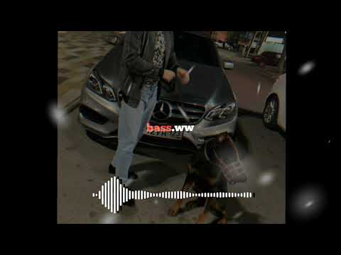 ASLİXAN AĞ ZƏNCİLƏR (BASS)