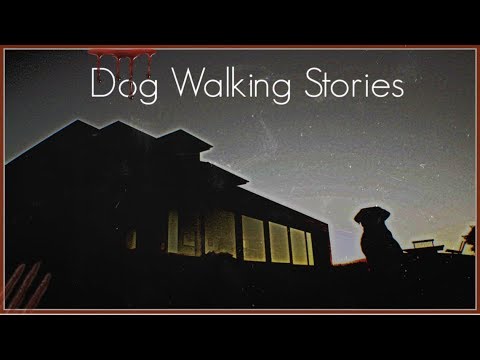 4 True Dog Walking Horror Stories (Pictures & Videos) - YouTube