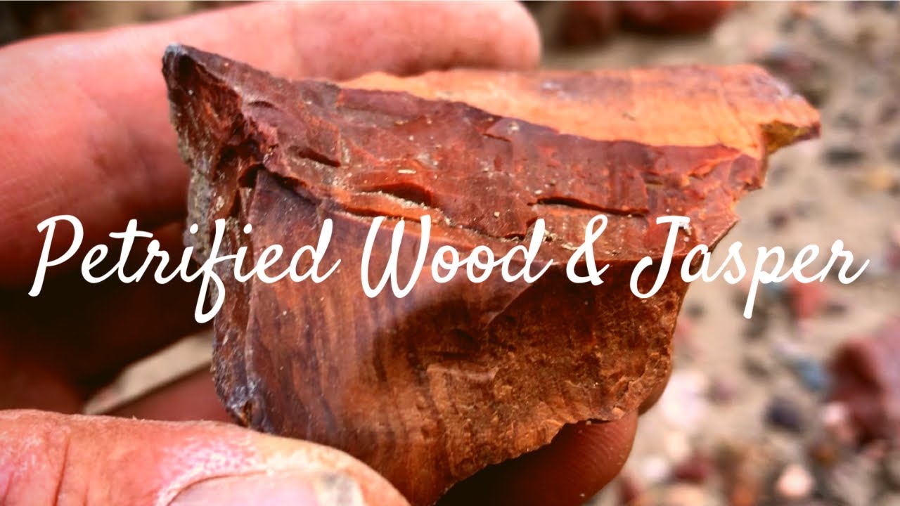 Finding Petrified Wood & Jasper • I’m A Rockhounding Rookie Again ...