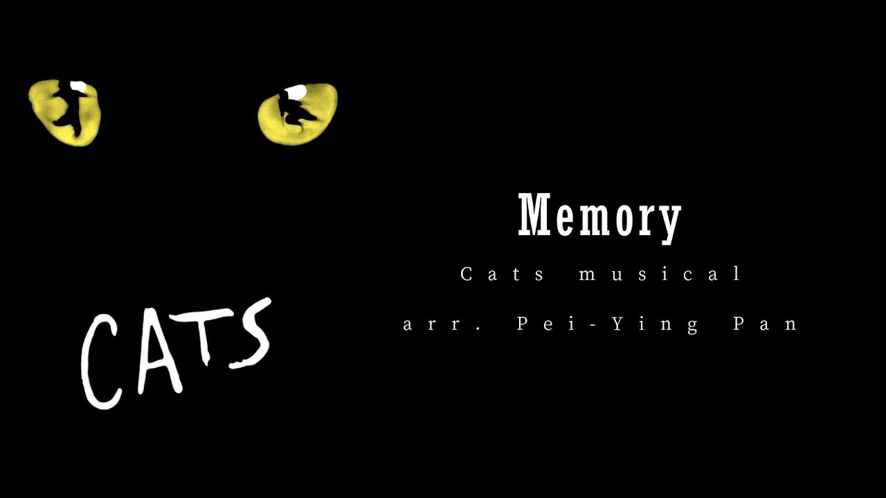 Memory from Cats Musical by Andrew Lloyd Webber, piano cover - YouTube