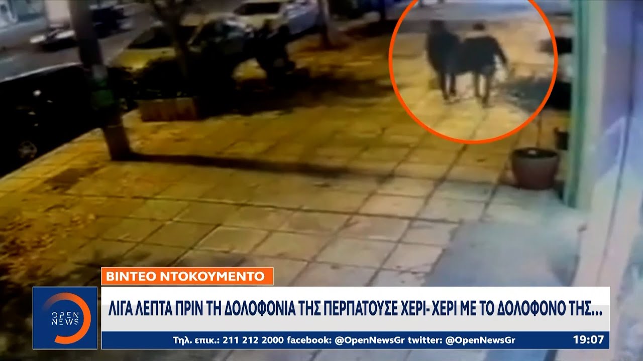 Φριχτό τέλος για την 41χρονη έγκυο: Ο σύντροφος της και ο φίλος του τη ...