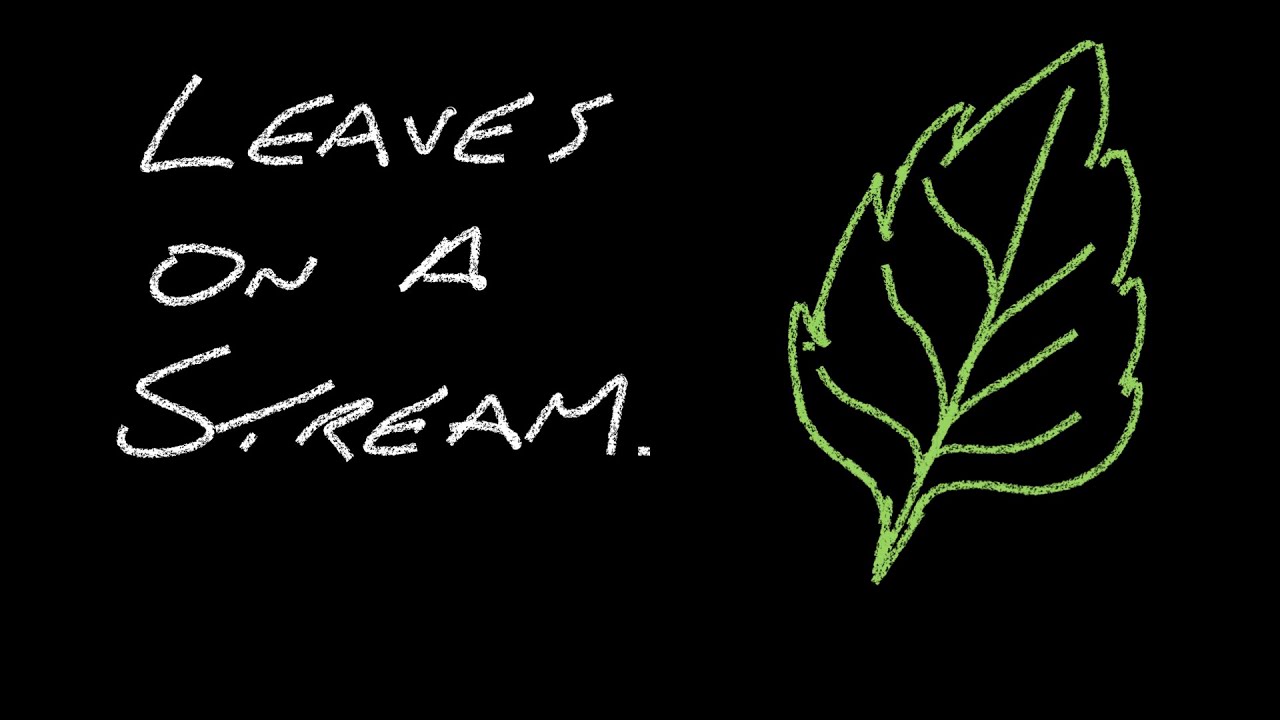 Defusion - Leaves on a Stream - YouTube