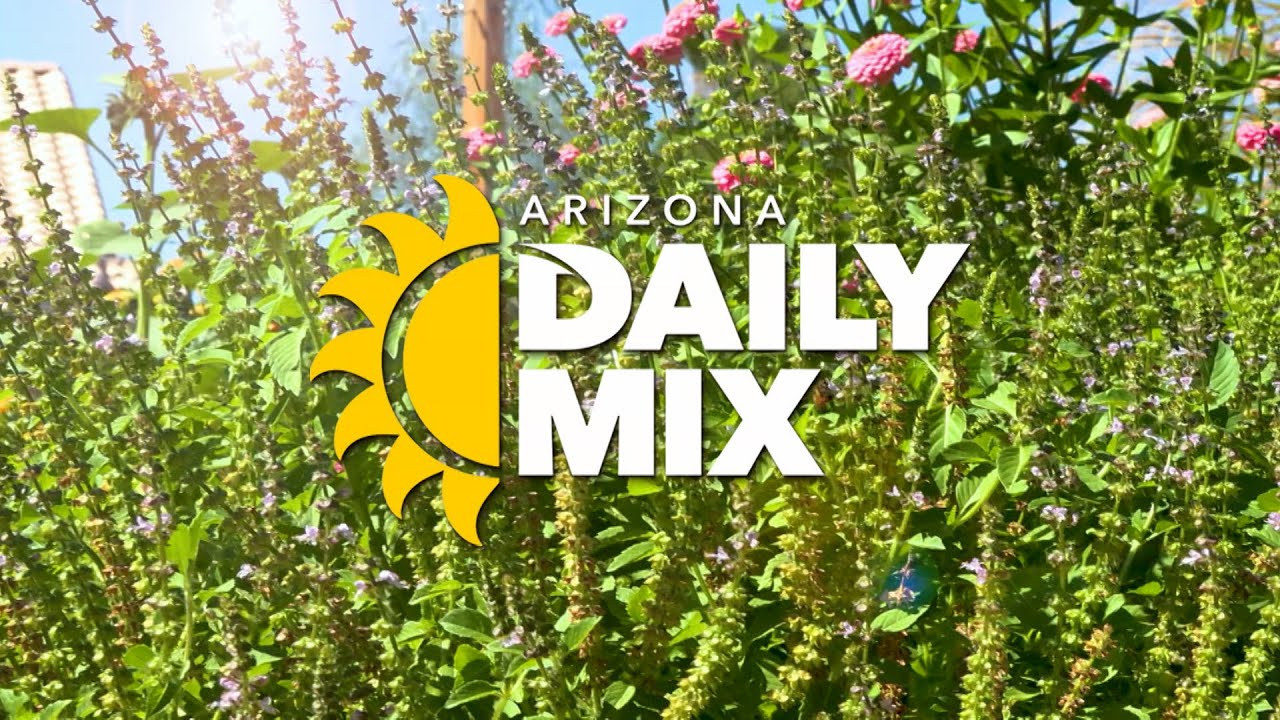 Arizona Daily Mix | September 24, 2025 Episode - YouTube