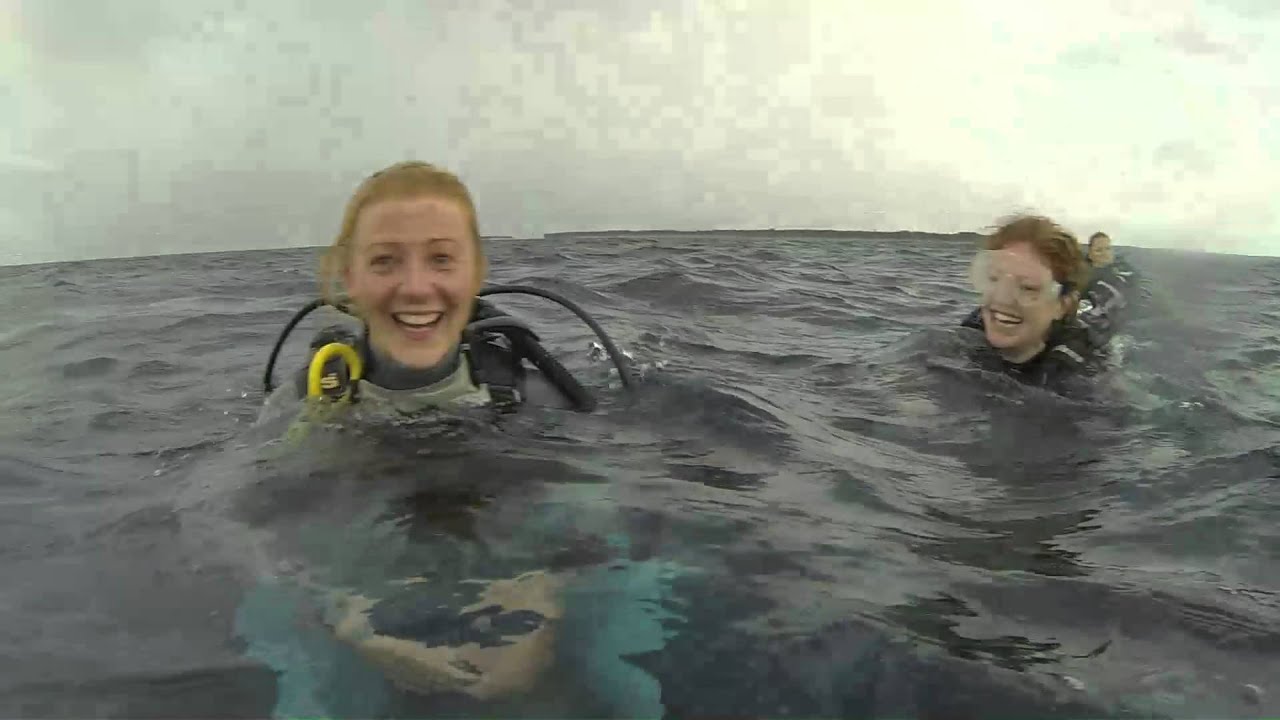 MV Leo - fish behaviour reenactment group feat. the happiest little ...