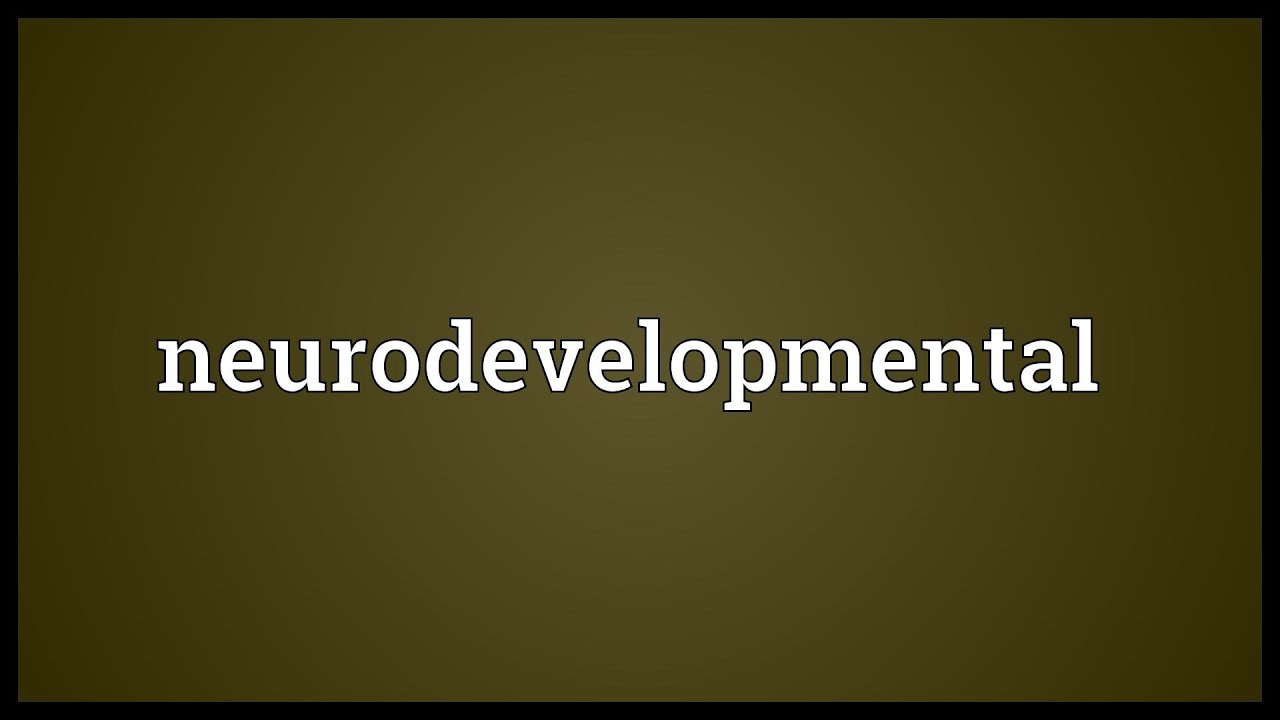 Neurodevelopmental Meaning - YouTube