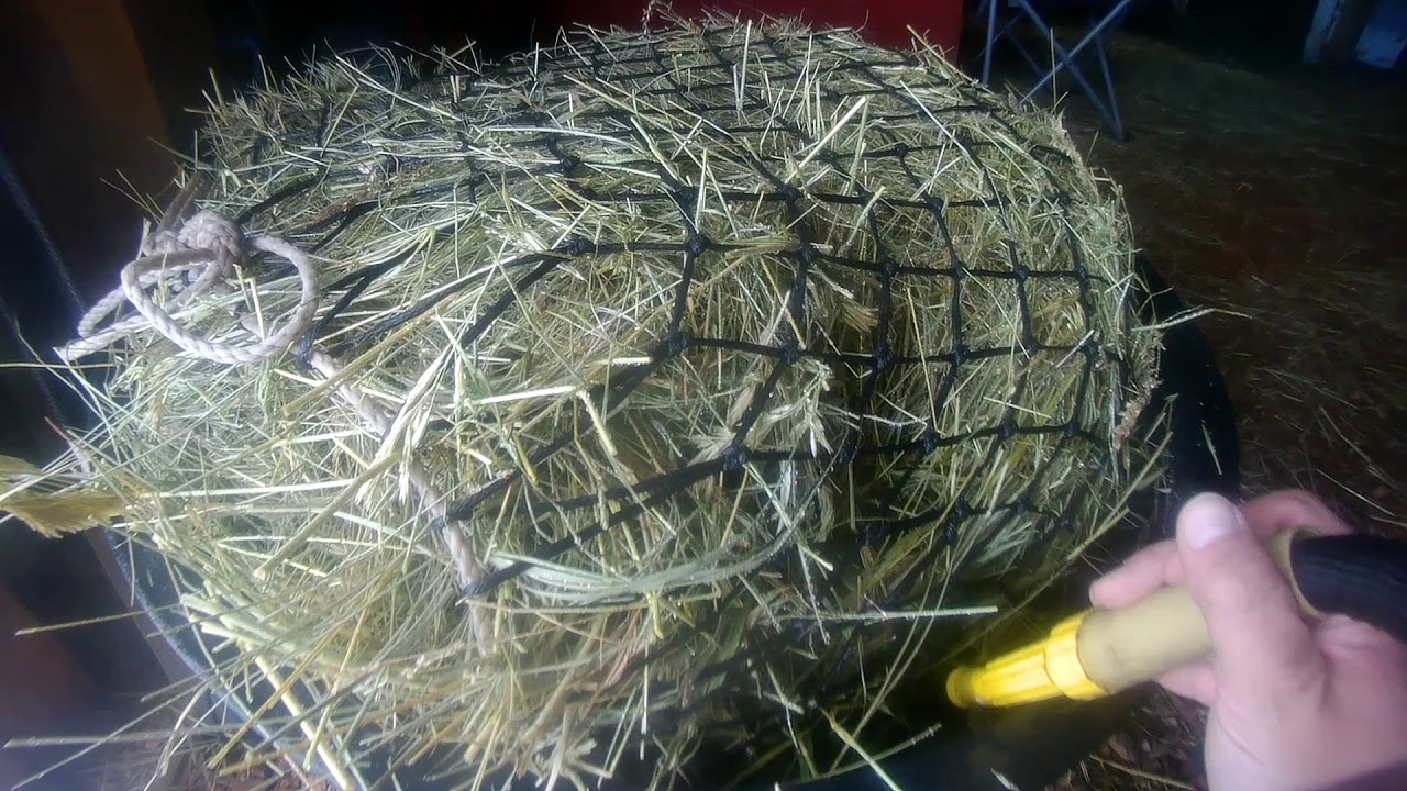 hay soaking adventure Part 1 - YouTube