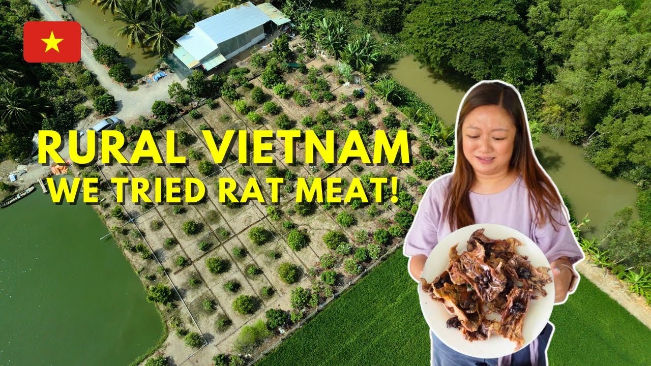 Exploring Cần Thơ' & Trying Rat Meat For the First Time in Vietnam's Mekong Delta Region 🇻🇳 ...