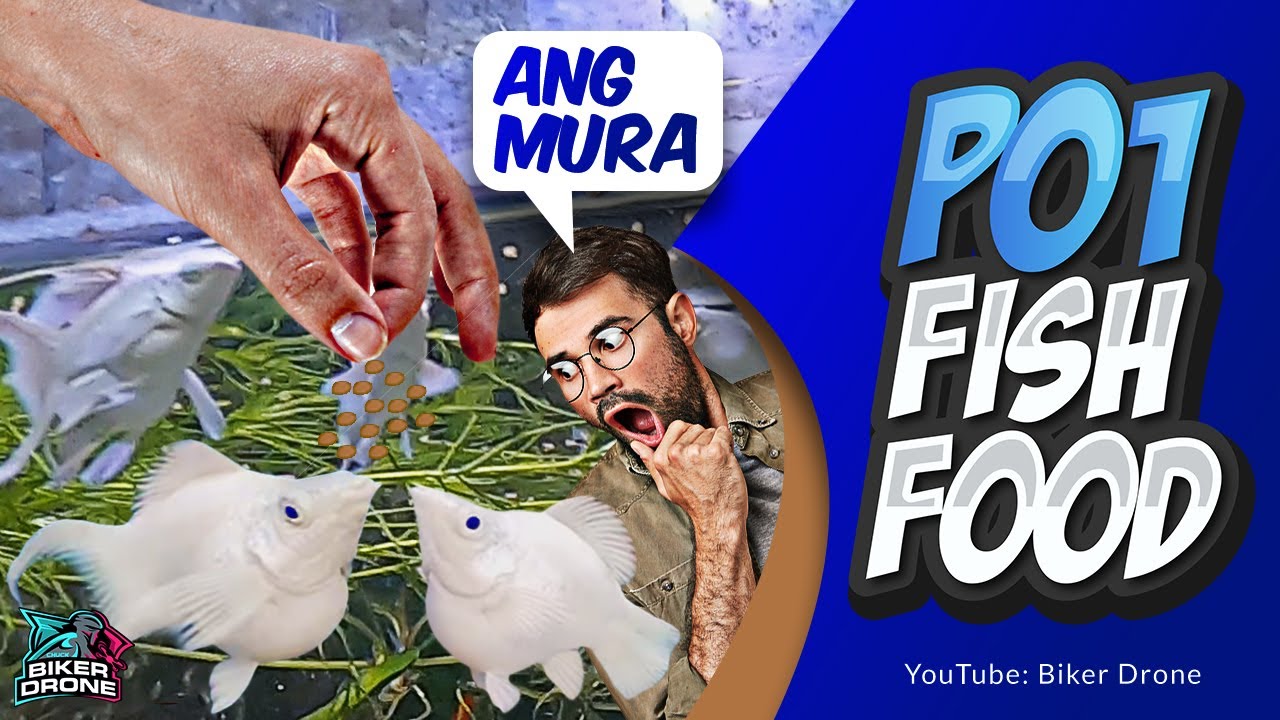 Sobrang mura at sulit na fish food para sa PKBM | PO1 fish food - YouTube