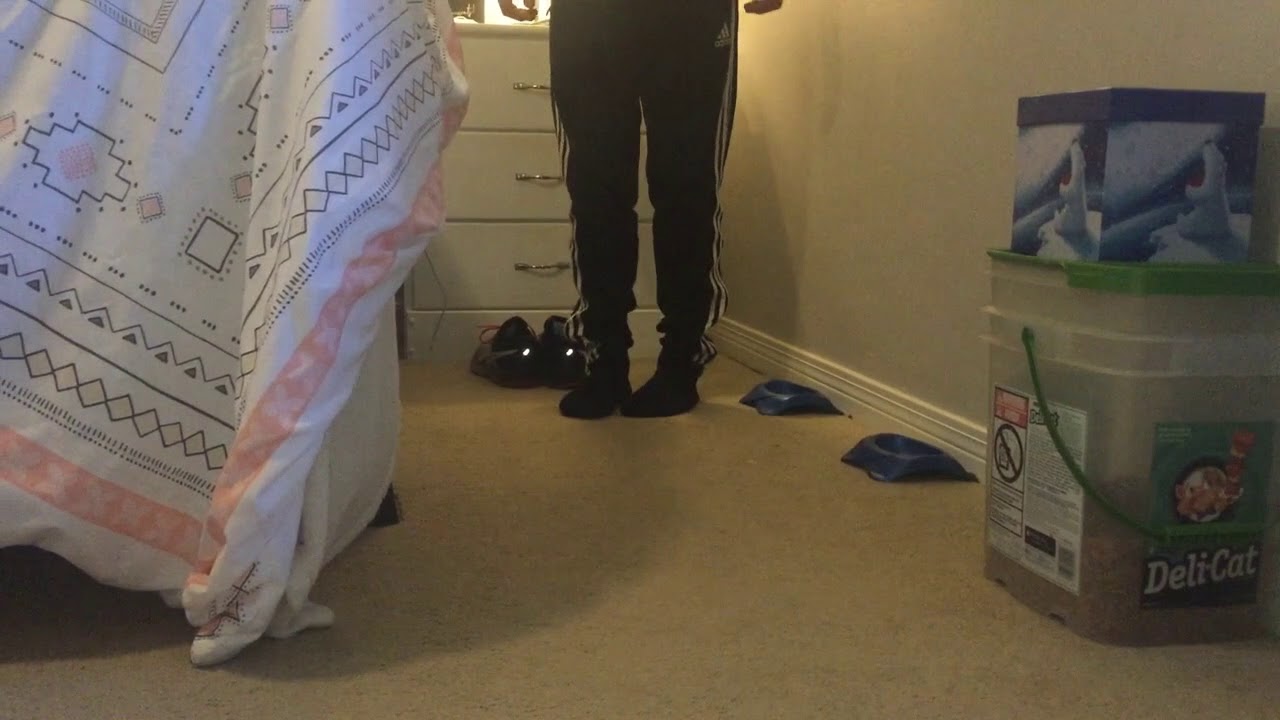 Steppage Gait - YouTube