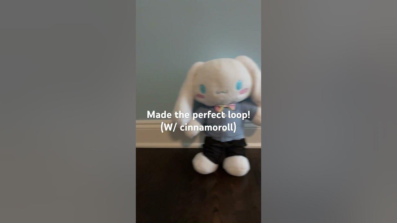 Made the perfect loop #loop #endlessloop #perfectloop #cute #satisfyingloop #cinnamoroll - YouTube