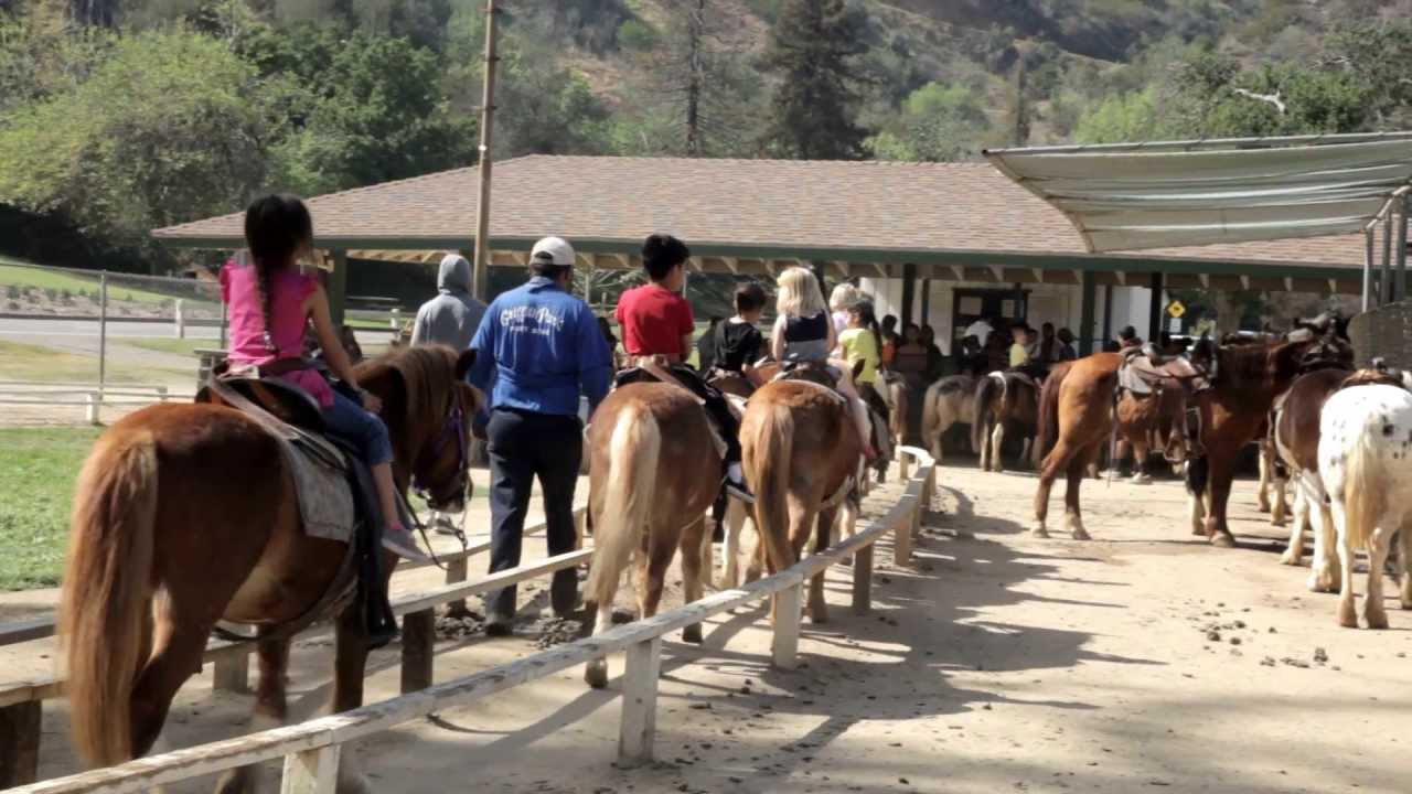 Griffith Park: a pony ride - YouTube