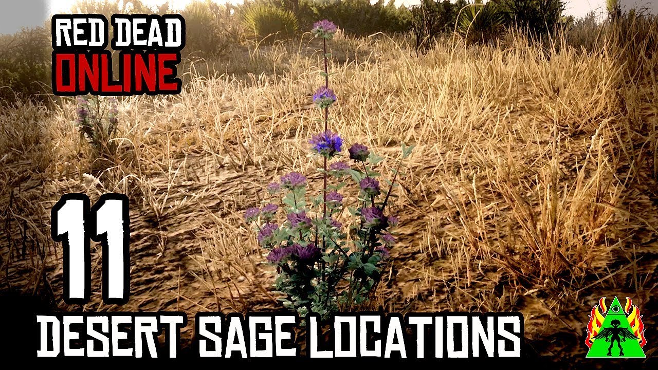 Red Dead Redemption 2 Online - DESERT SAGE LOCATIONS - YouTube