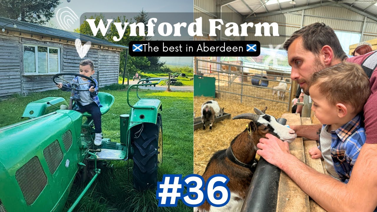 Wynford Farm 🚜 in #Aberdeen 🏴󠁧󠁢󠁳󠁣󠁴󠁿 - An interactive experience for ...