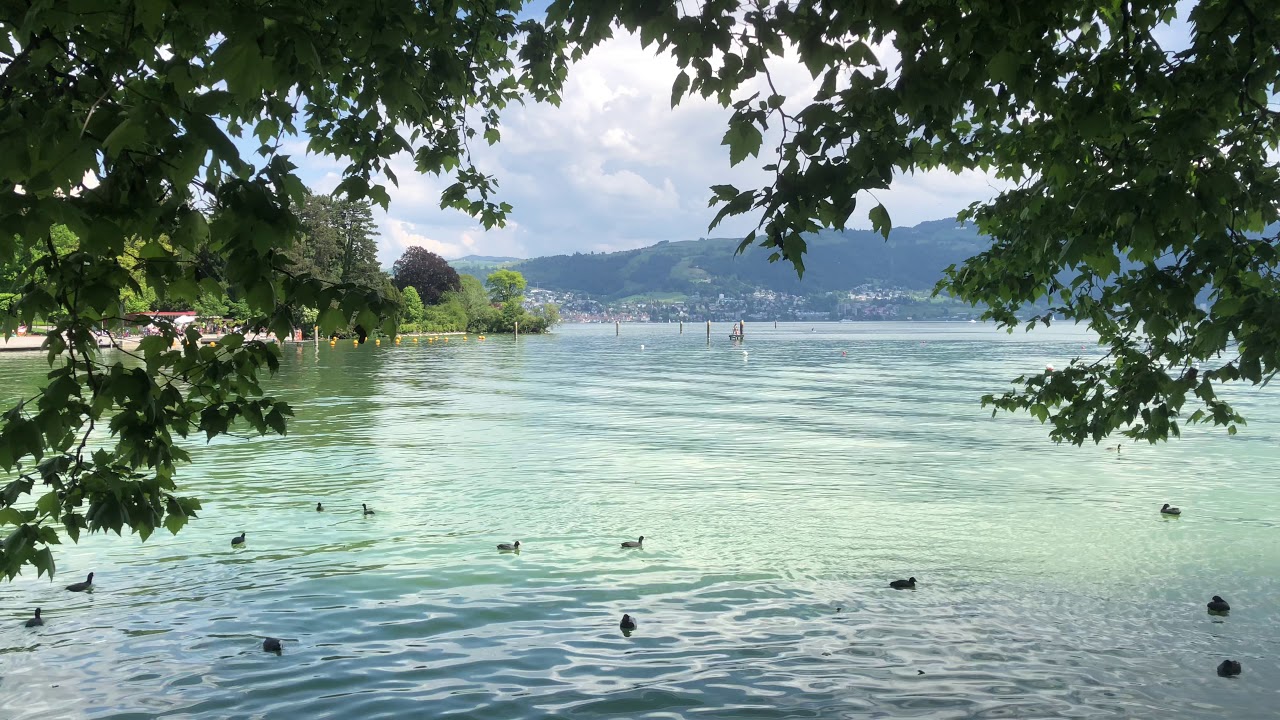 Zugersee/Lake Zug, Switzerland - YouTube