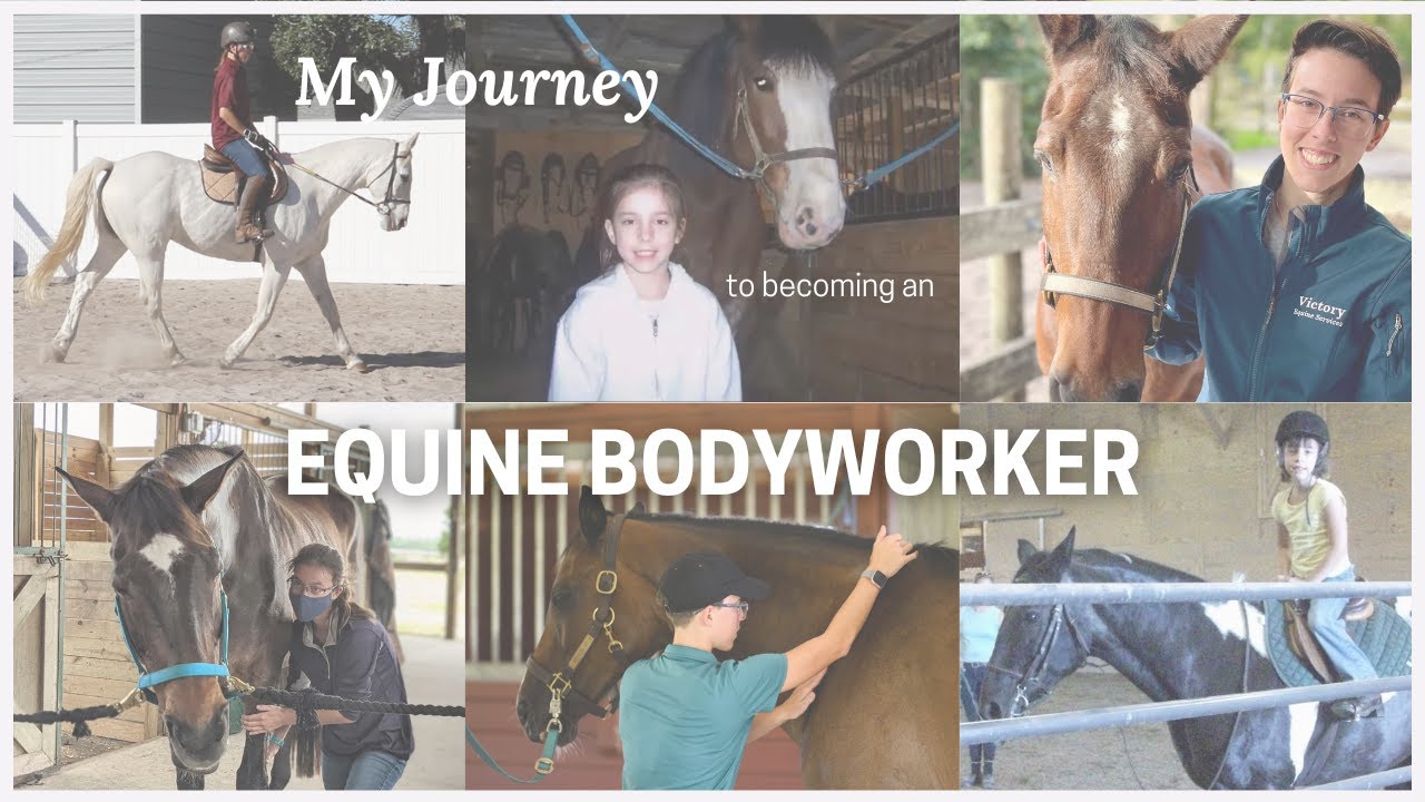 My journey to becoming an EQUINE BODYWORKER - YouTube