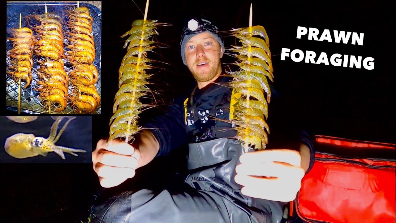 PRAWN FORAGING - BBQ Prawn Skewers at 4am , Lobsters , Cuttlefish ...