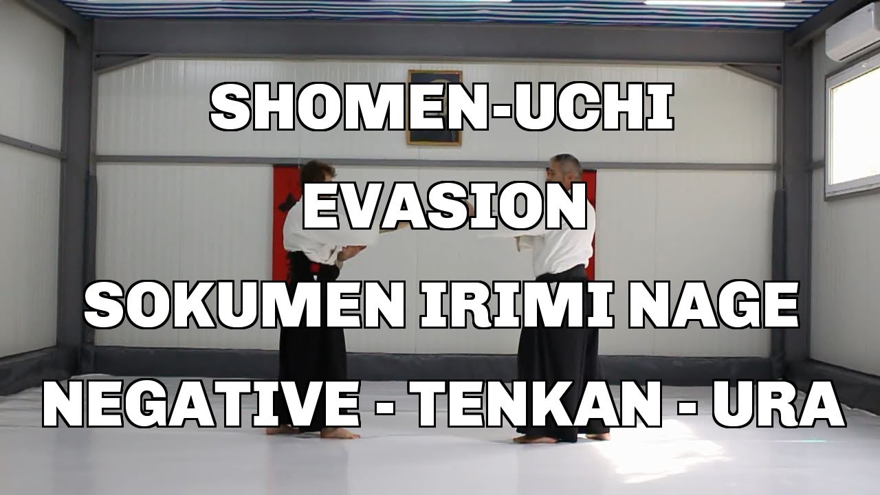 Shomen-Uchi, Evasion, Sokumen Irimi Nage, Negative - Tenkan - Ura ...