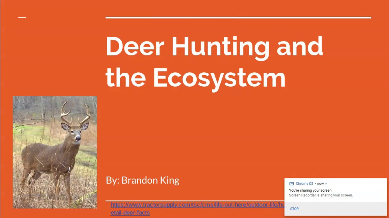Deer Hunting Documented Essay Presentation - YouTube