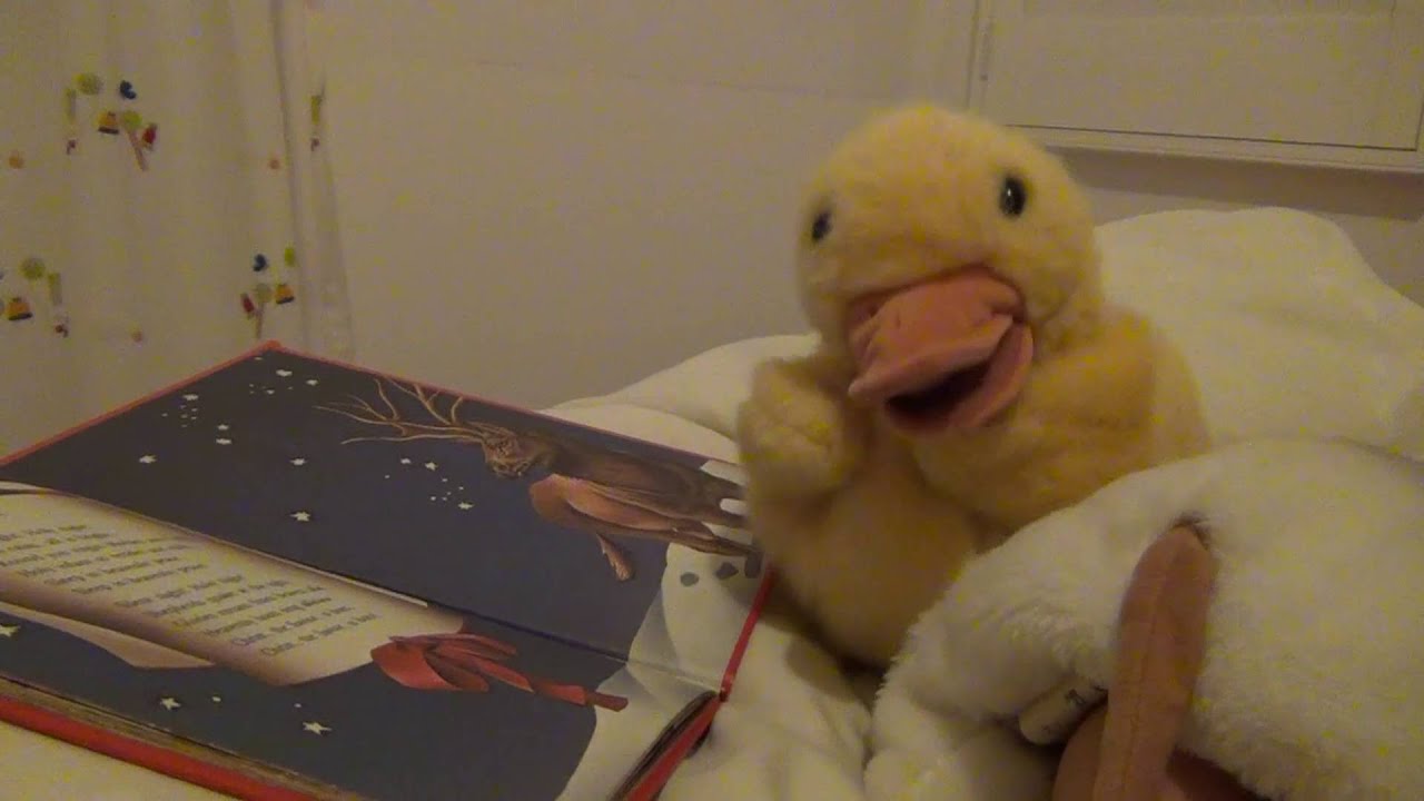 Cute and Silly Puppets: Molly Sings Silent Night - YouTube